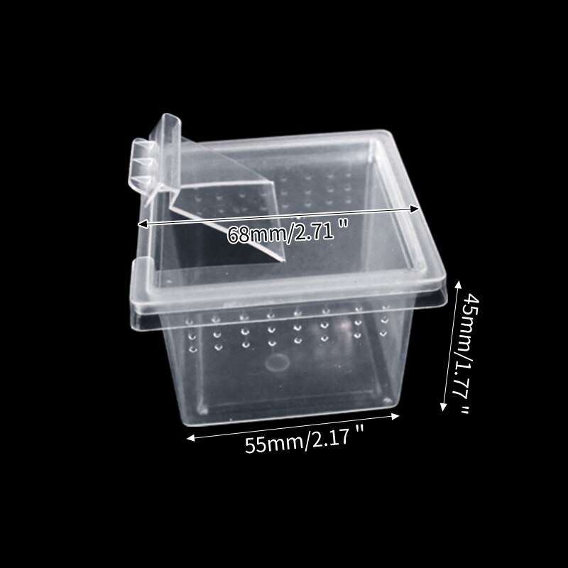 Feeding Box Reptile Cage Hatching Container Rearin... – Grandado