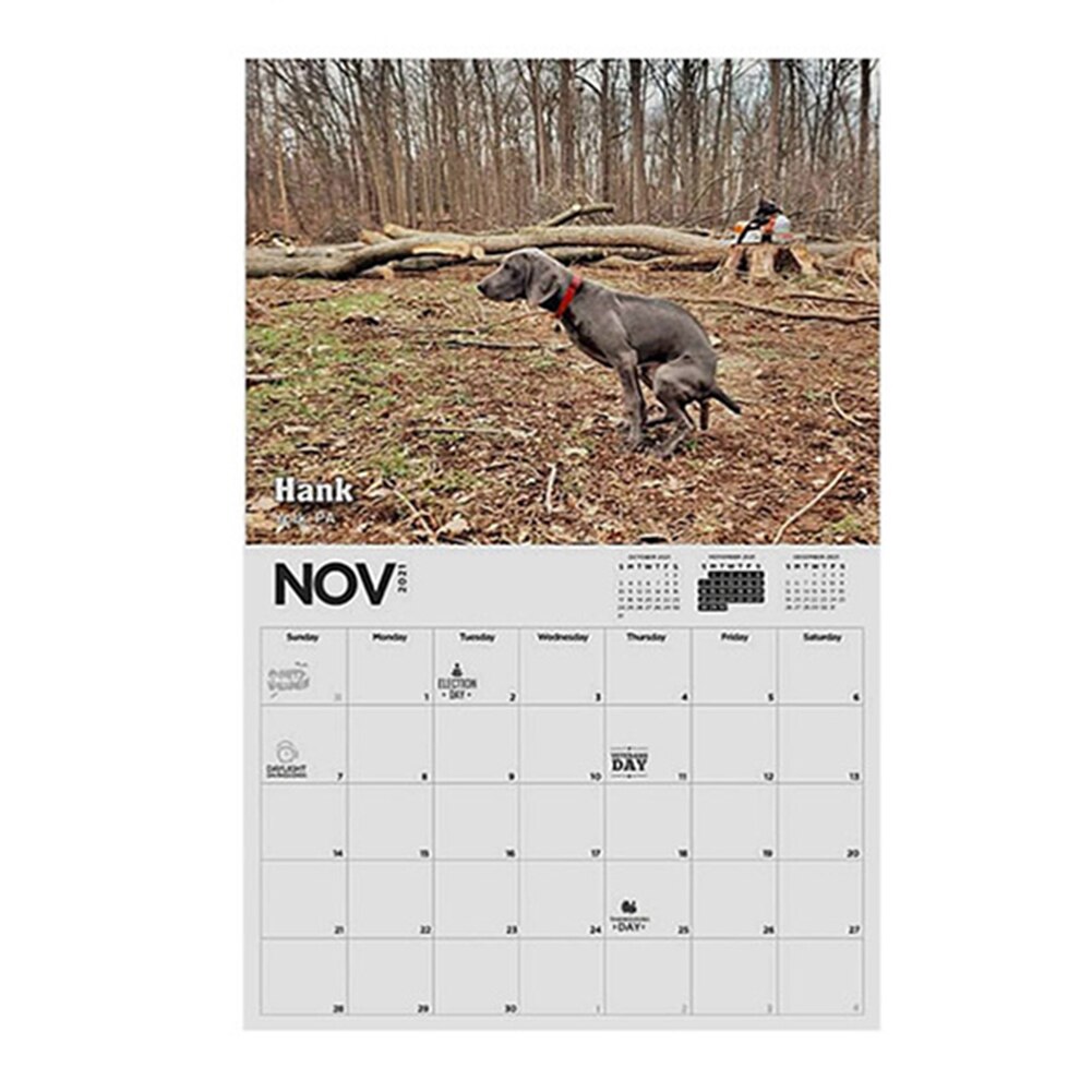 Kawaii Cute Calendar Pooping Dogs Calendar Pooping... – Grandado