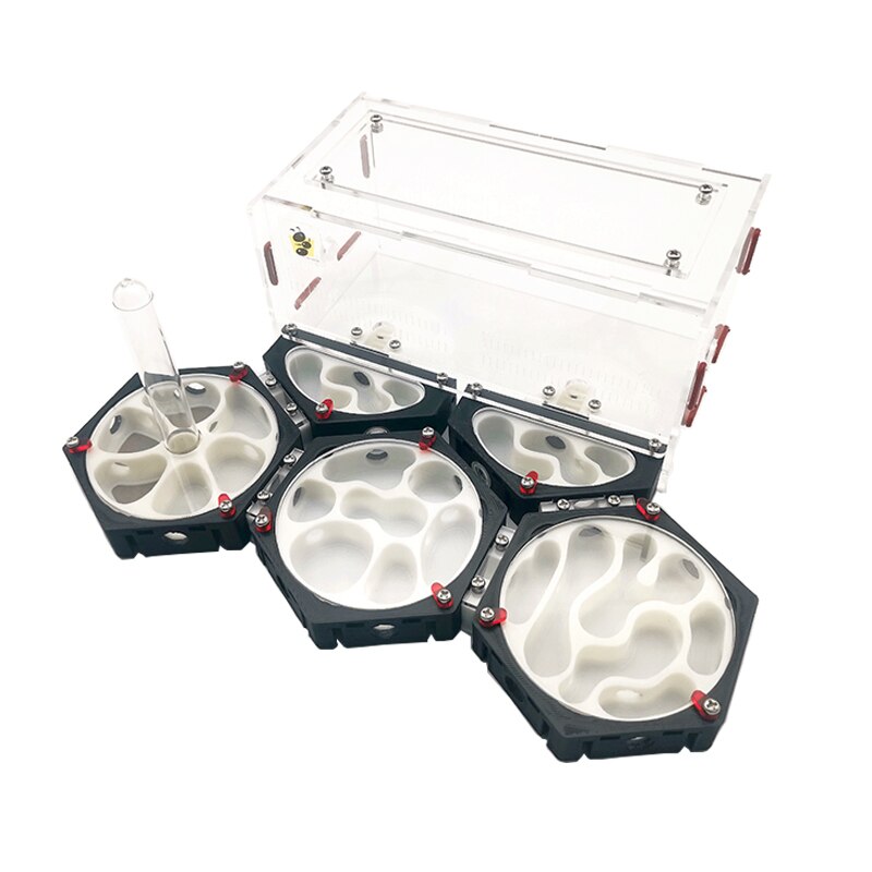 Unlimited Expansion Ant Farm Ant Space Station Dri... – Vicedeal