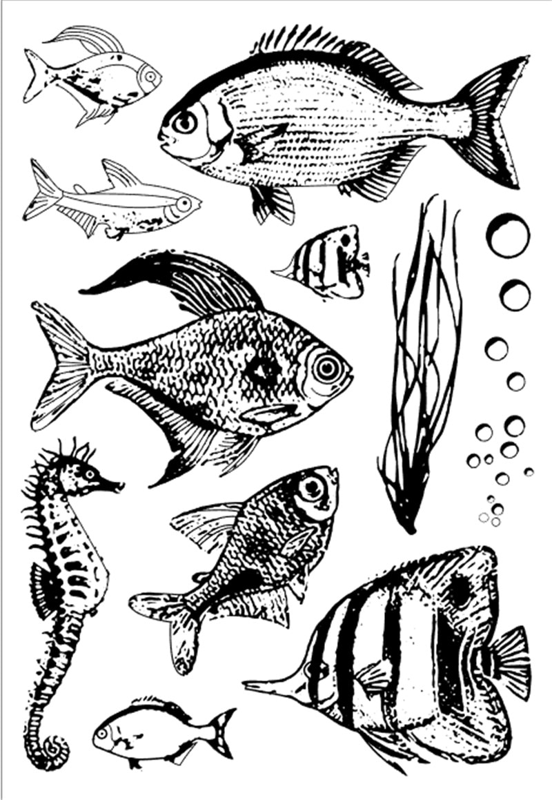 11x16 Small fish Transparent Clear Silicone Stamp ... – Grandado