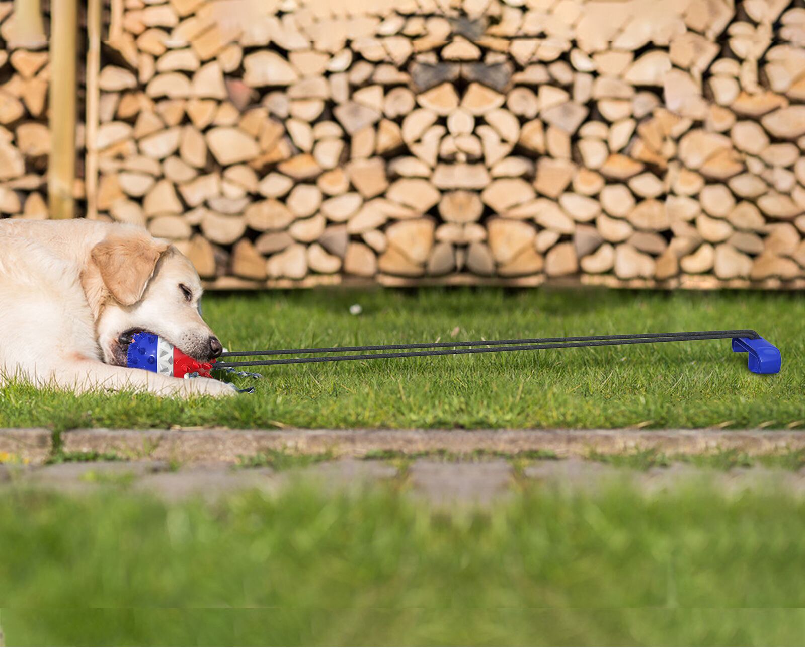 Outdoor Dog Tug Toy, Chew Toy, Interactive Tug-of ... – Grandado