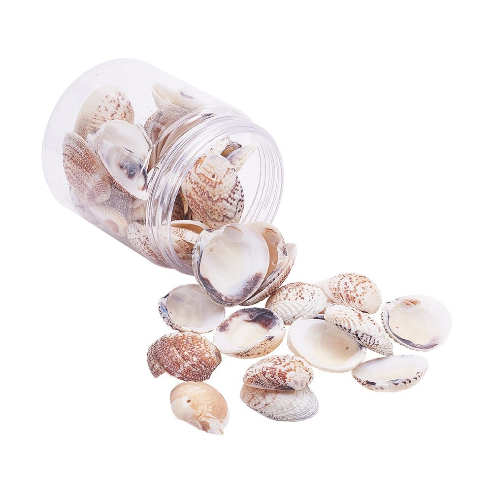 50Pcs Sea Shells Ocean Beach Seashells Craft Charm... – Vicedeal