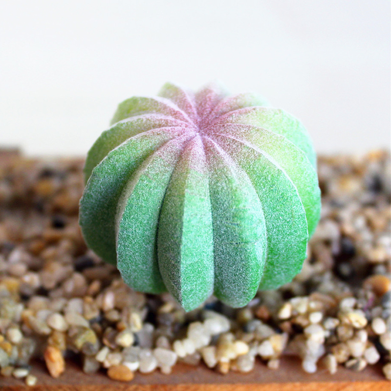 Artifical Plants Plastic Succulent Plant Cactus Ec... – Grandado