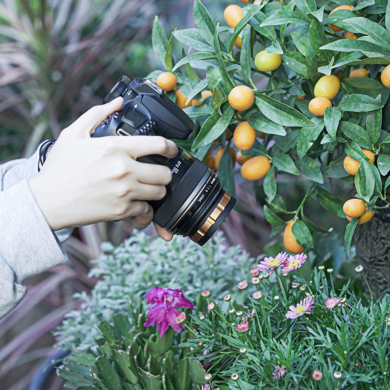 Ulanzi 52MM 72MM DSLR Camera Macro Lens for Sony C... – Vicedeal