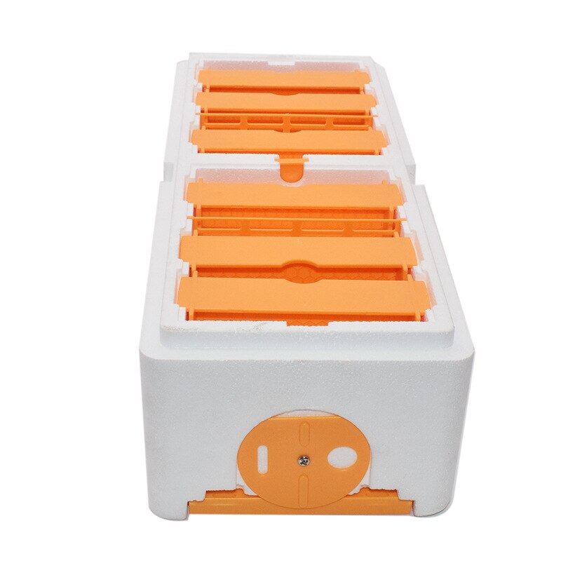 Double Bee Kings Breeding Rearing Box With Transpa... – Vicedeal