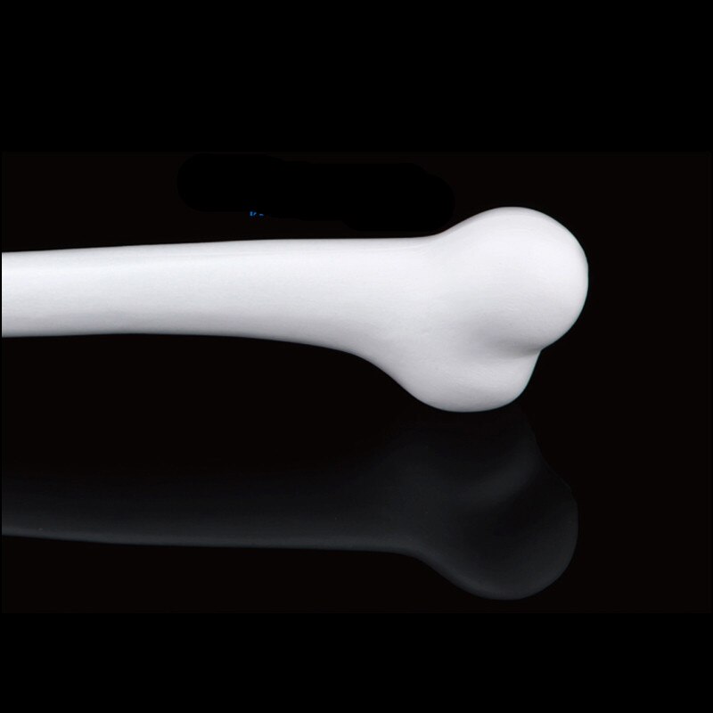 2PCS Halloween Funny Props Savage Bones Plastic Bo... – Grandado