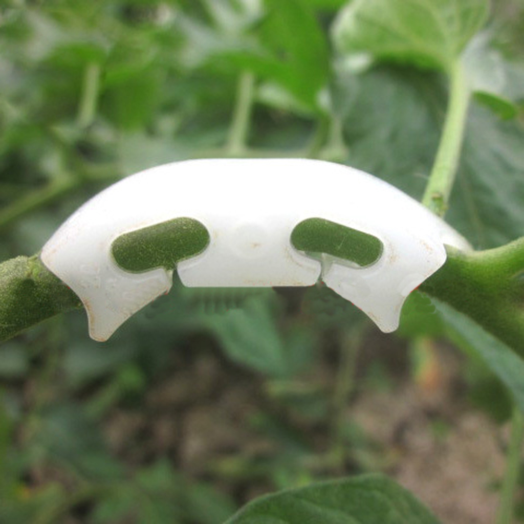 100pcs Tomato Truss Garden Plant Support Fixing Cl... – Vicedeal