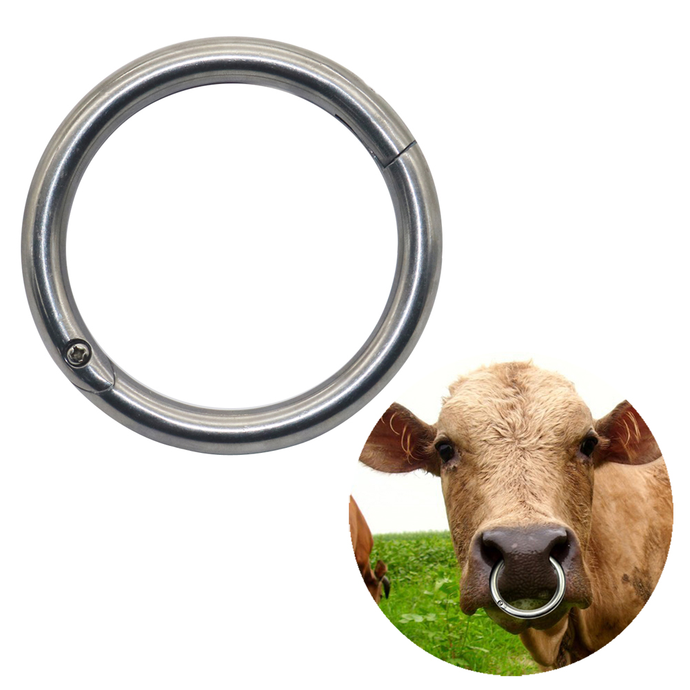 Cattle traction ring Large Circle Stainless Steel ... – Grandado
