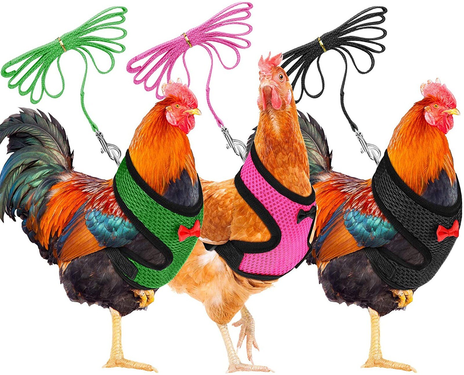 Traction Rope Chicken Rope Adjustable Chicken Rope... – Grandado
