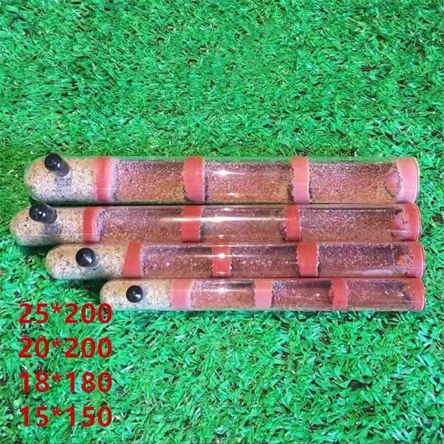 Diy Ecological Tube Ant Farm Bamboo Test Tube Ants... – Vicedeal