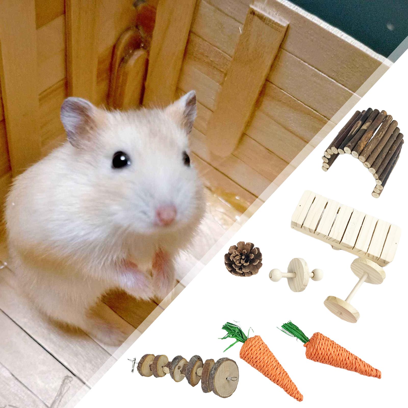 8Pcs Hamster Chew Toys Set Rats Dumbells Exercise ... – Grandado