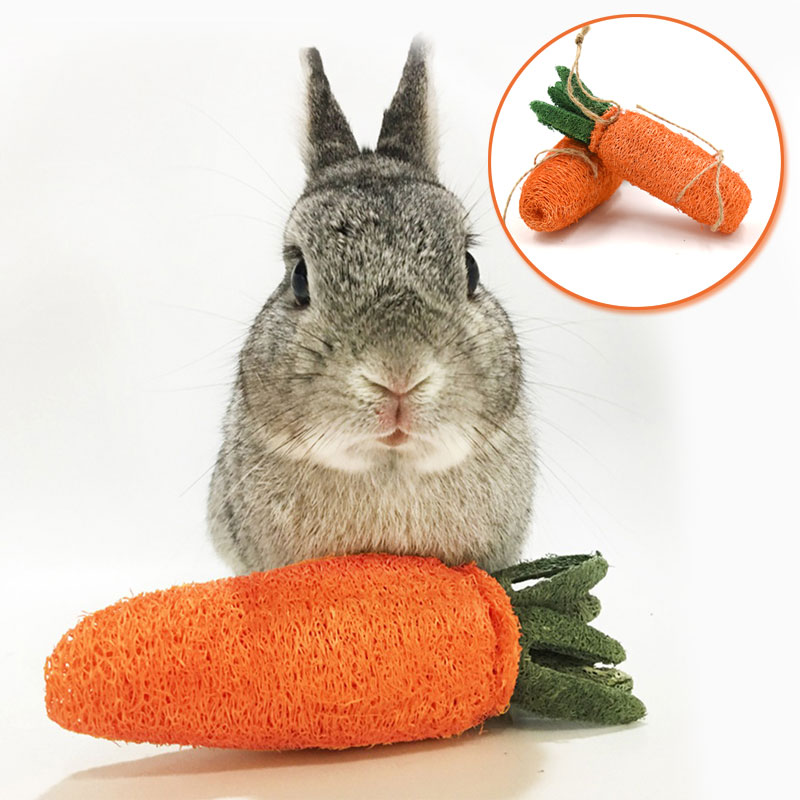 Hamster Molar Chew Toys Rabbit Accessories Carrot ... – Vicedeal