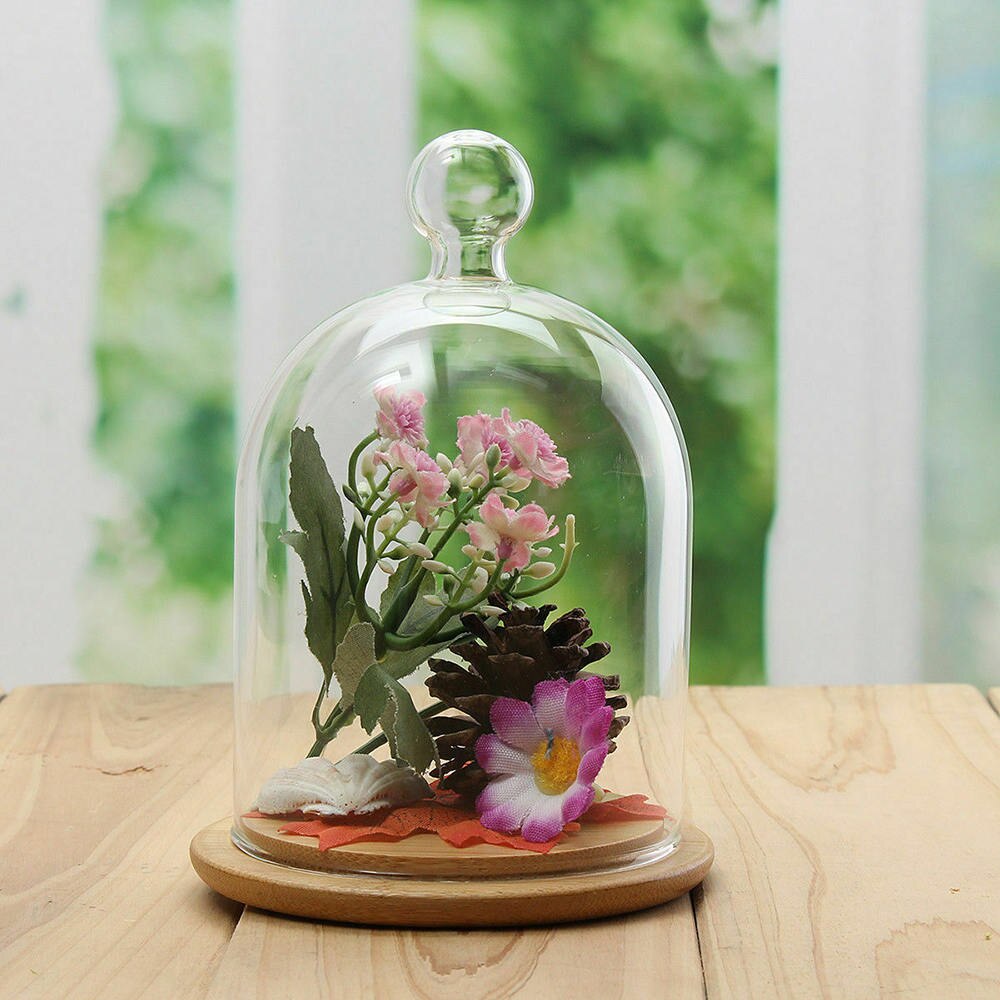 Home Decor Vases Glass Flower Display Cloche Bell ... – Grandado