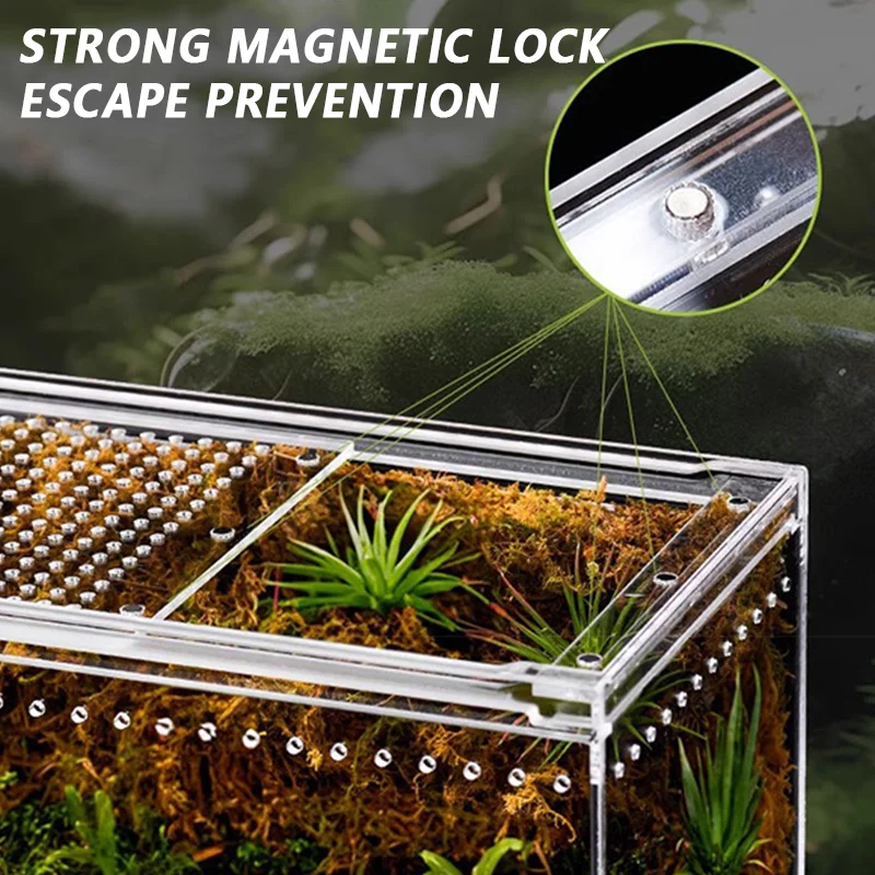Reptile Transparent Breeding Box Acrylic Breathabl... – Grandado