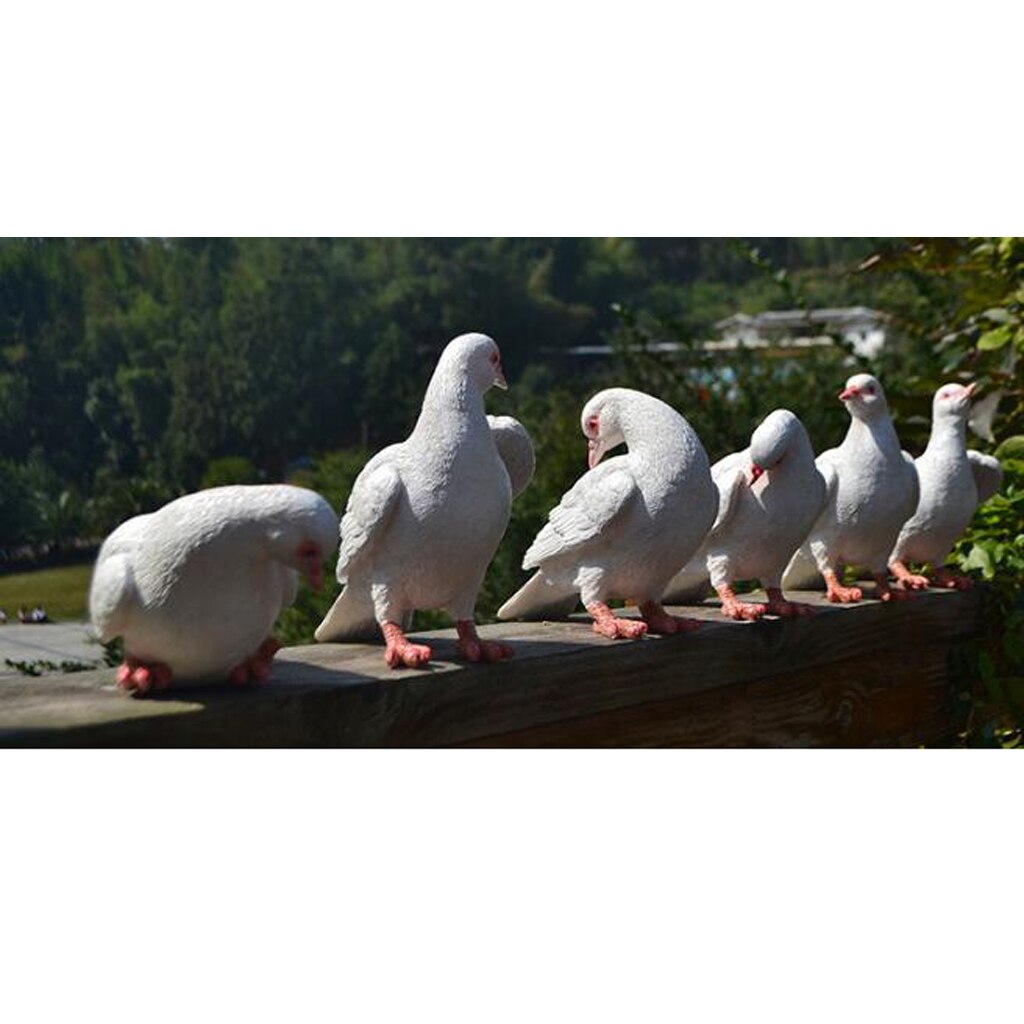 3pcs Cute Resin Simulation Pigeon Figure For Home ... – Grandado
