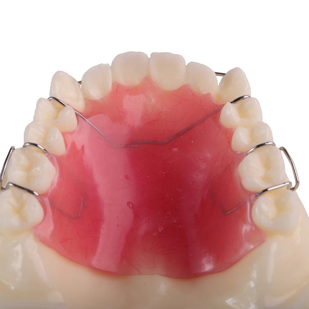 1 Piece Dental Orthodontic Retainer Demonstration ... – Grandado