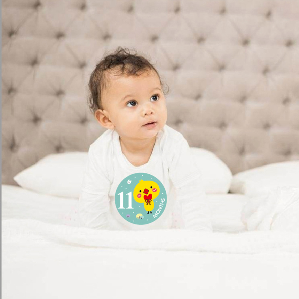 12 Pcs 10x10cm Baby Month Stickers Milestone Self-... – Grandado