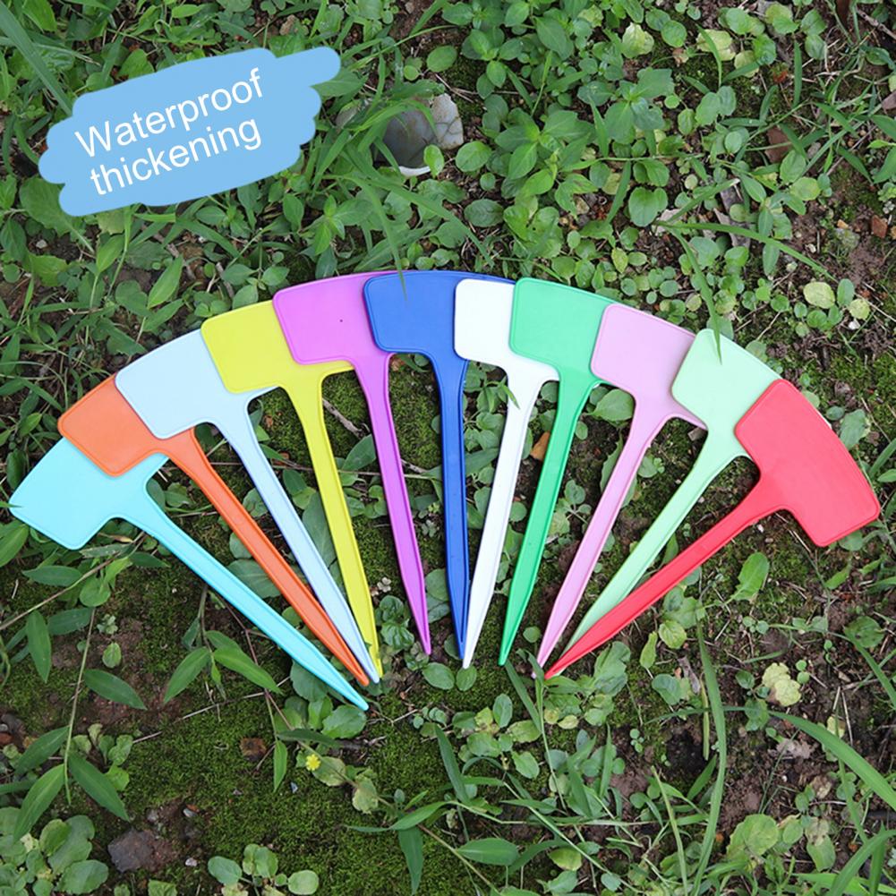 10Pcs/Set T-Shape Plastic Plant Tags Labels Waterp... – Grandado