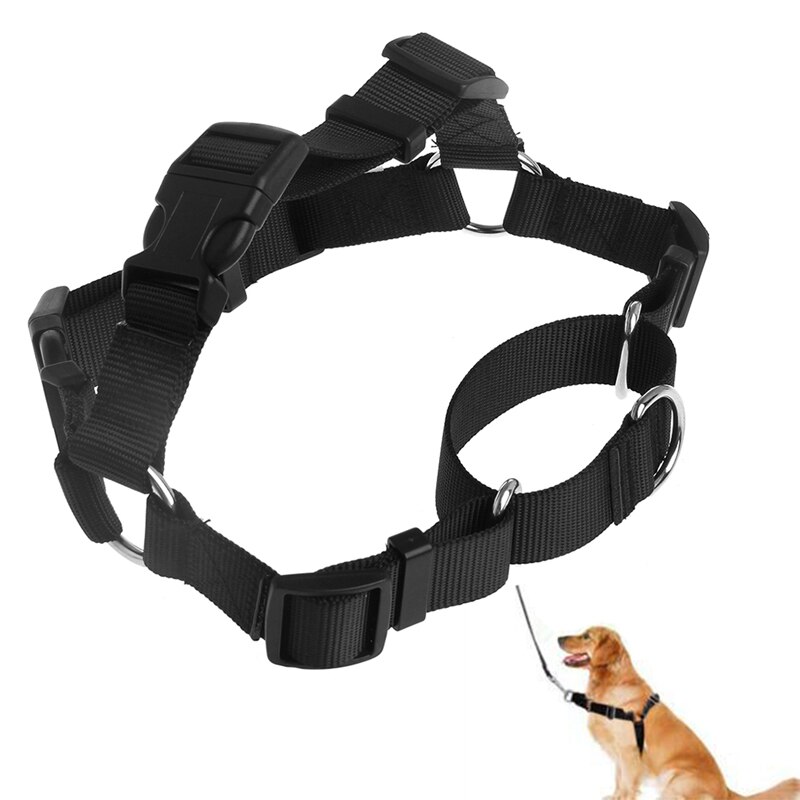 Pet Puppy Safe Easy Walk Dog Harness Medium Comfor... – Grandado
