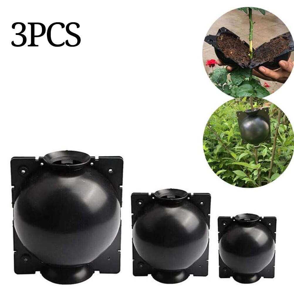 5pcs Plant Rooting Ball Grafting Rooting Growing B... – Grandado