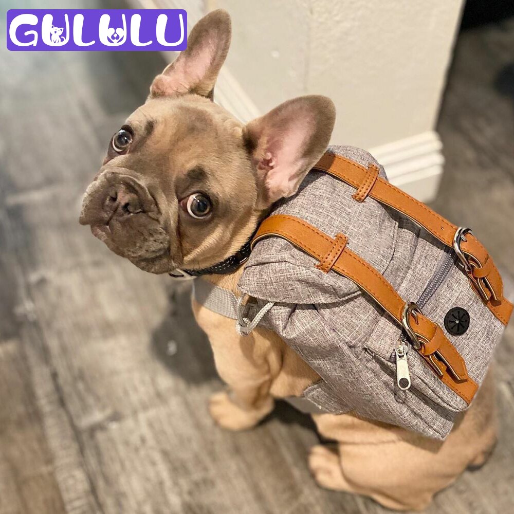 GULULU-Bolso para perro de estilo británico, mochi... – Grandado