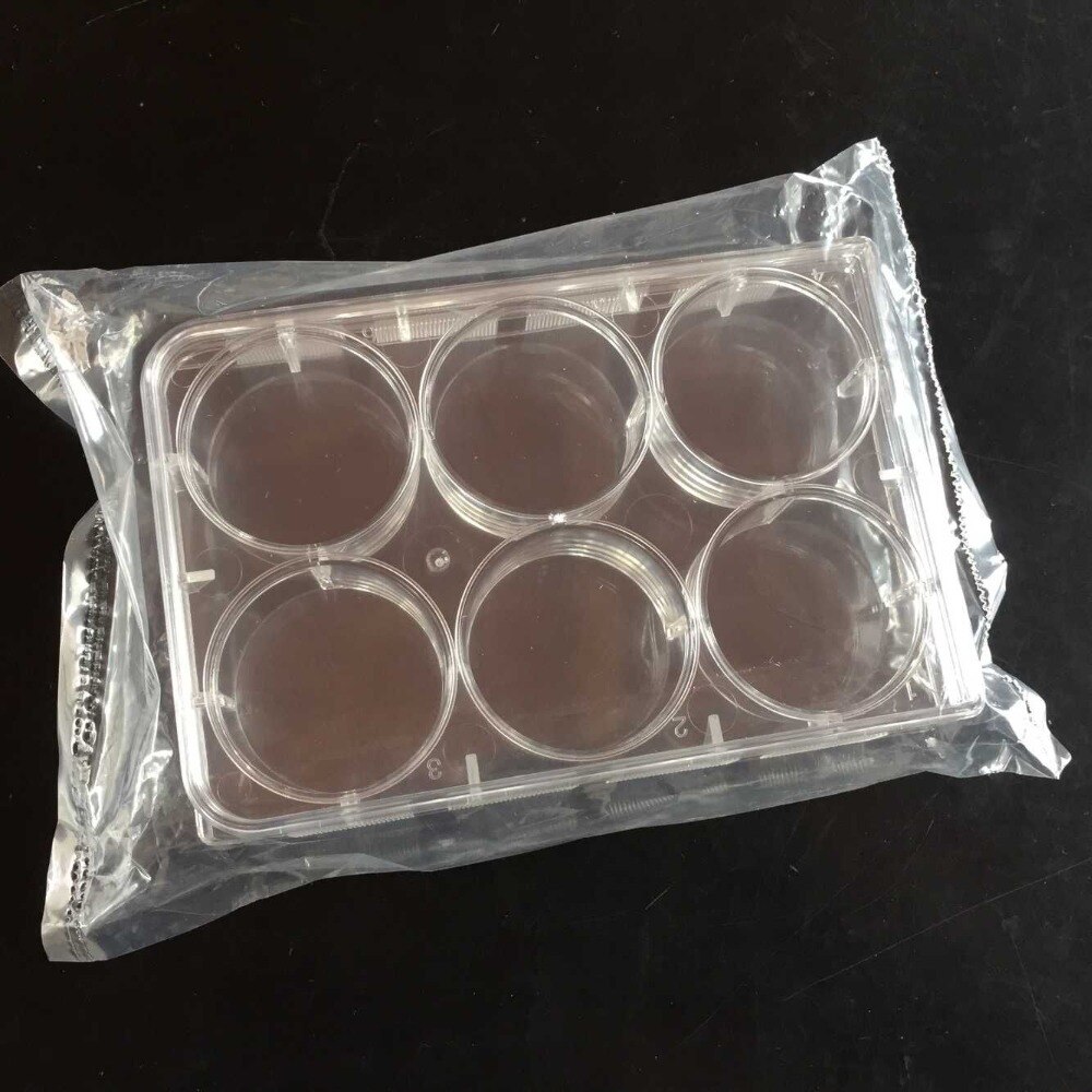 6 holes one-off PS Bacterial culture plate ethylen... – Grandado