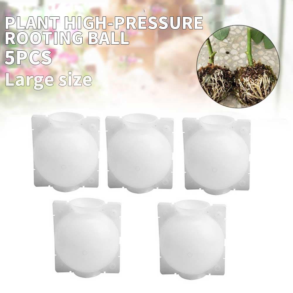 Rooting Ball Plant High Pressure Box Plant Propaga... – Grandado