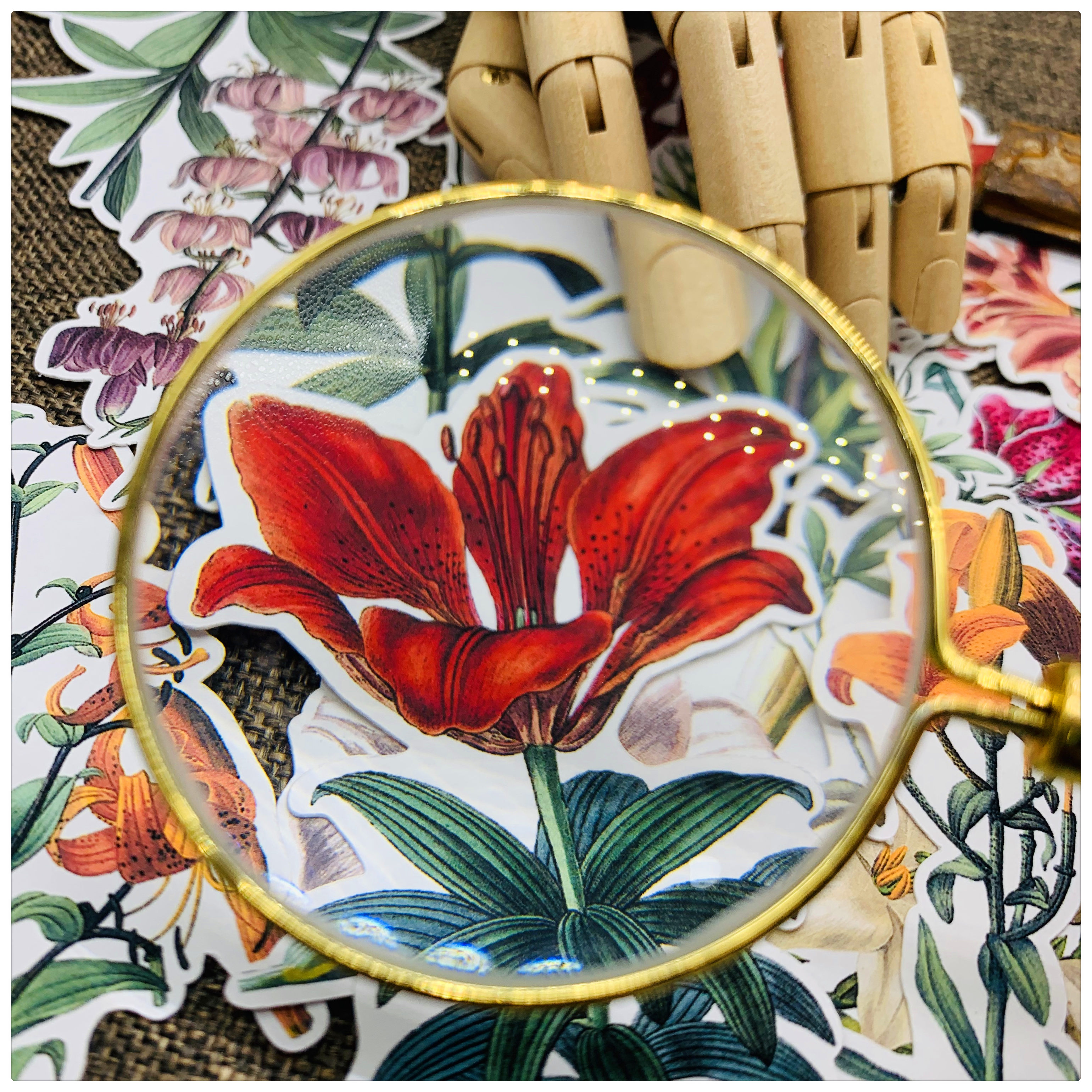 15pcs Vintage lily flower stickers DIY scrapbookin... – Grandado