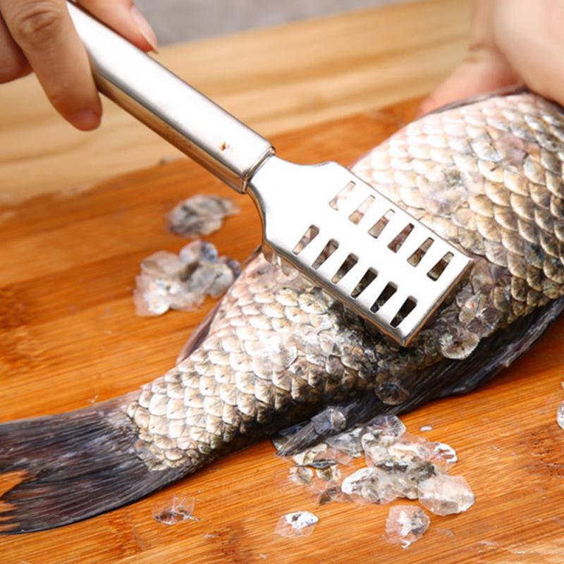 Fish scale remover Stainless Steel Fish Scale Remo... – Grandado
