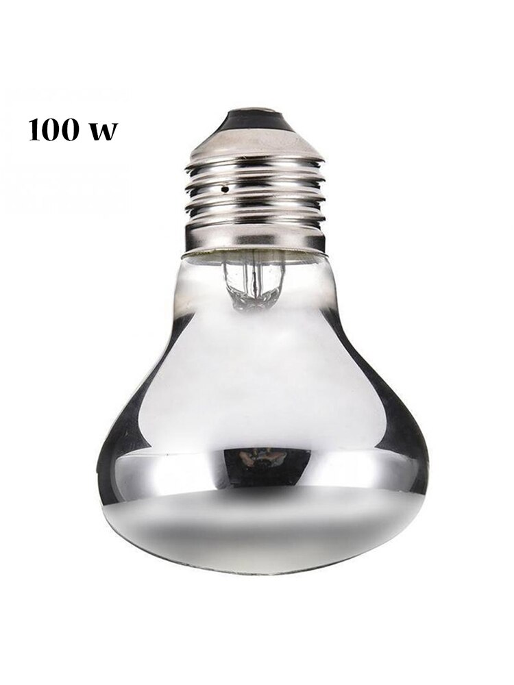 E27 Heating Bulb 50W 100W Amphibian Snake Reptile ... – Grandado