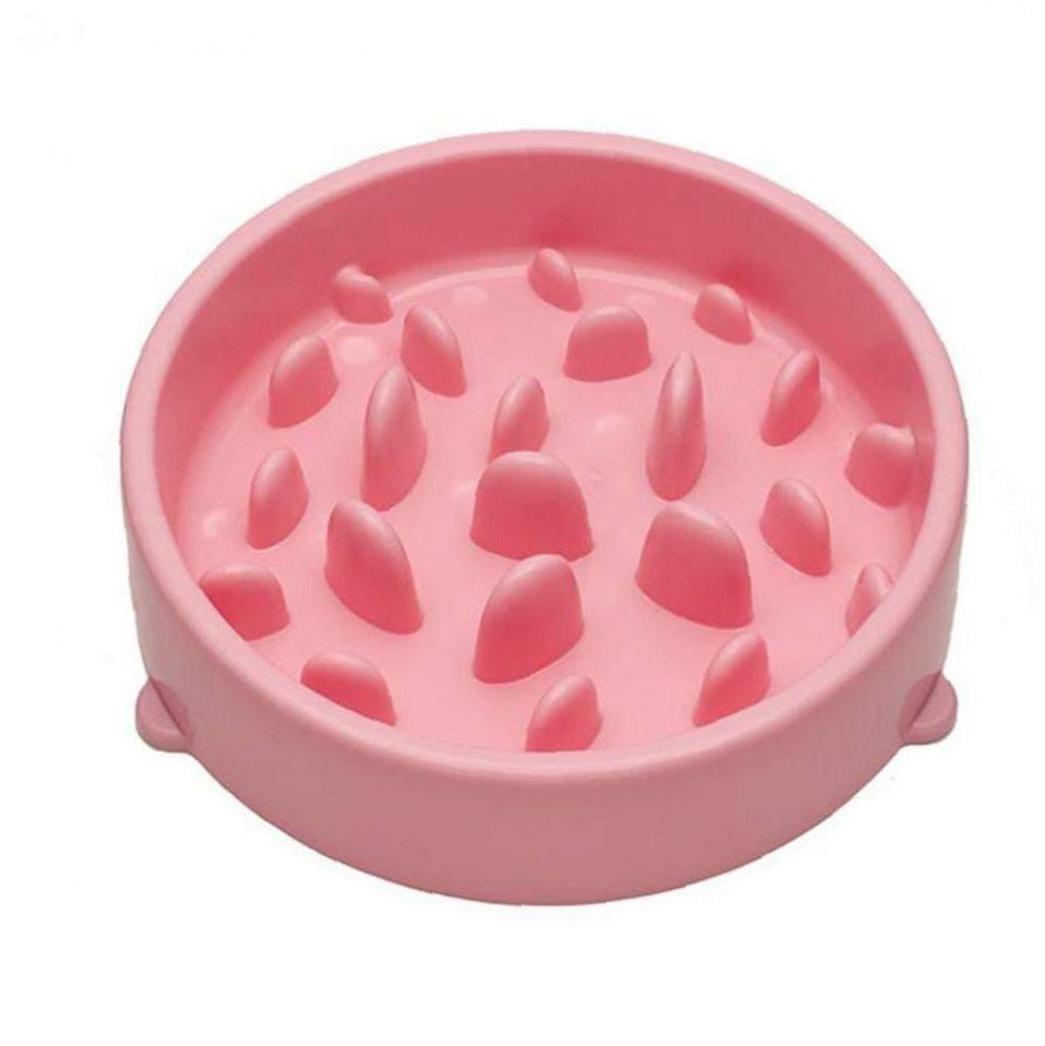 Pet Slow Feed Bowl Slow Feeder Dog Bowl Interactiv... – Grandado