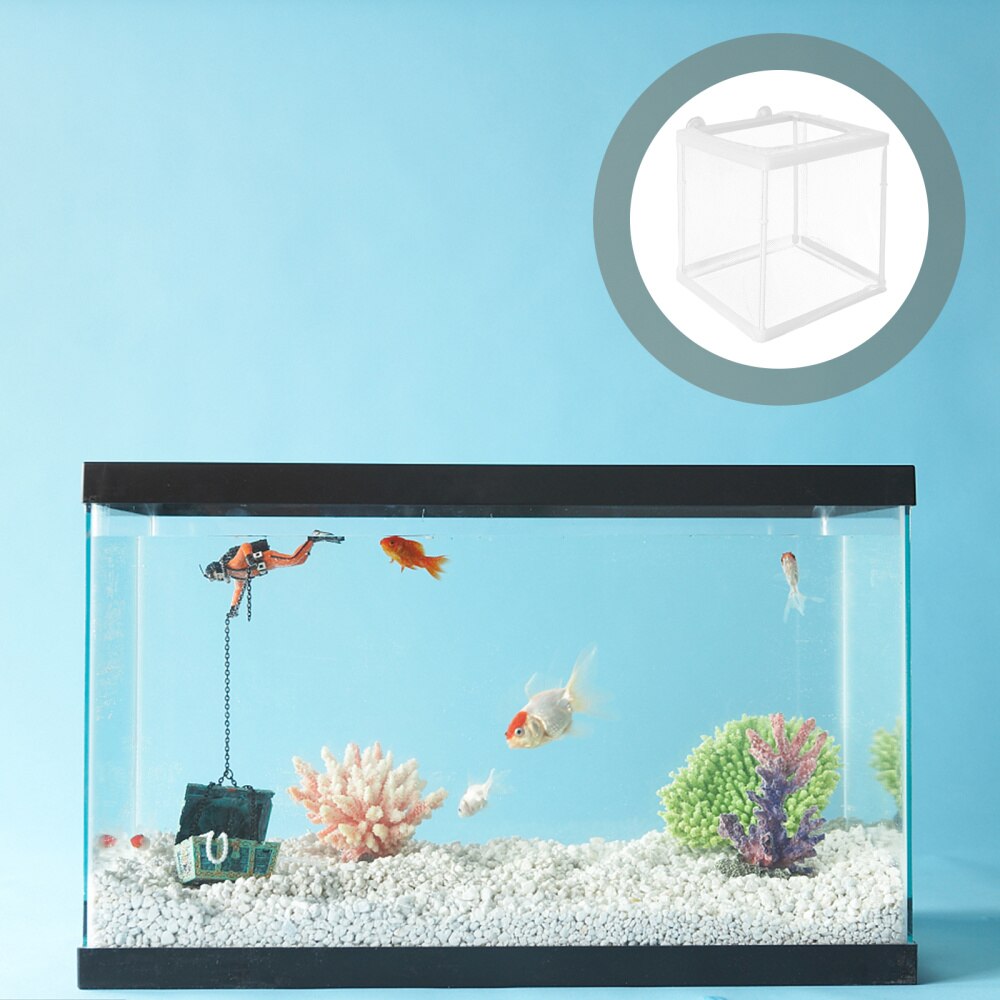 1Pc Practical Fish Hatching Box Fish Breeder Hatch... – Grandado