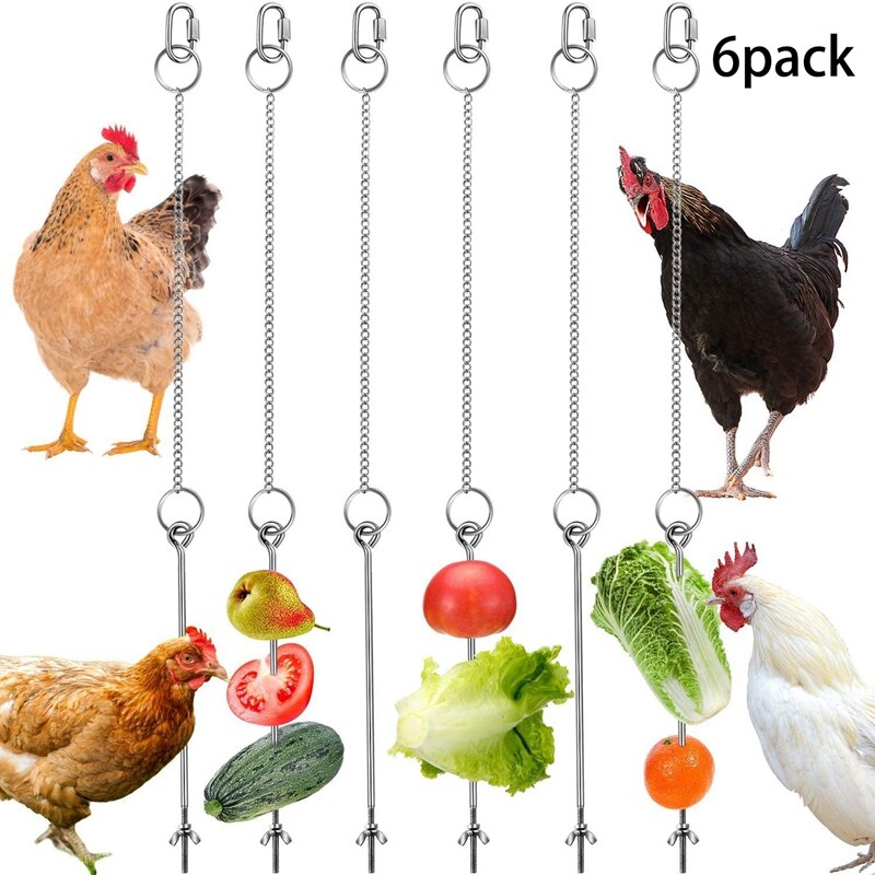 6Pack Kip Groenten Spies Fruit Houder Voor Kippen ... – Grandado