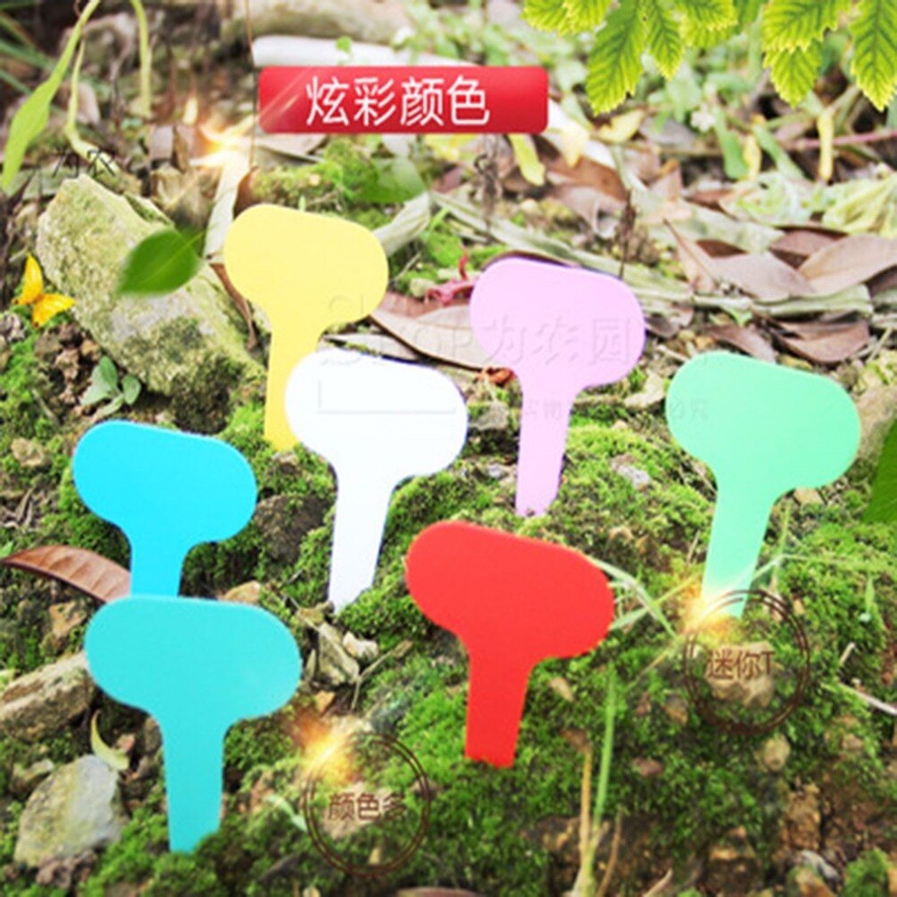 100Pcs Plastic T-type Garden Tags Ornaments Plant ... – Grandado