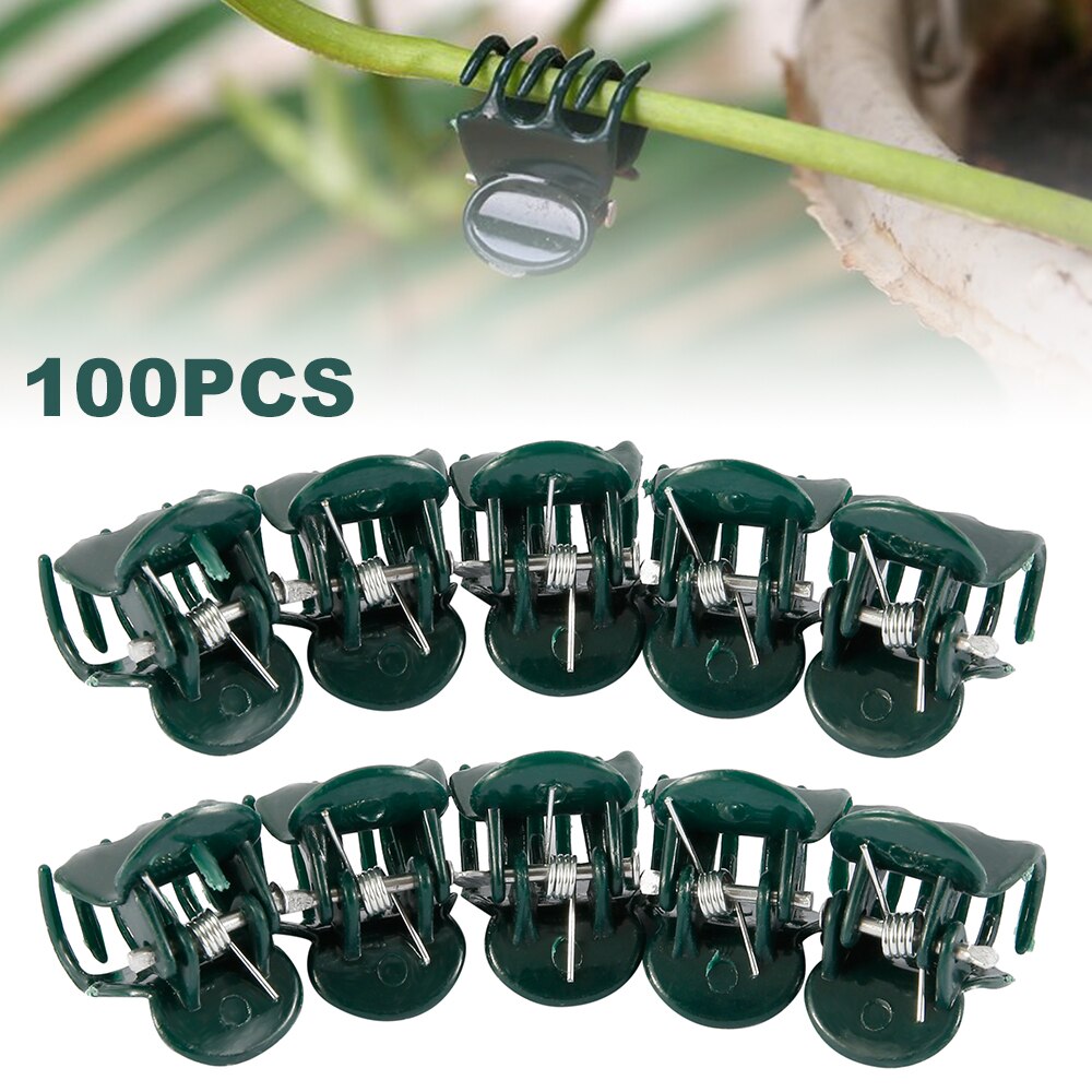 100 pièces jardin plante Clips en plastique Suppor... – Grandado
