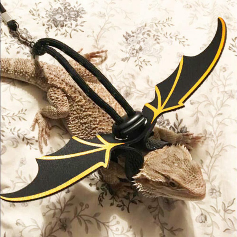 Lizard Leash Reptile Pet Outdoor Carrying Walking ... – Grandado