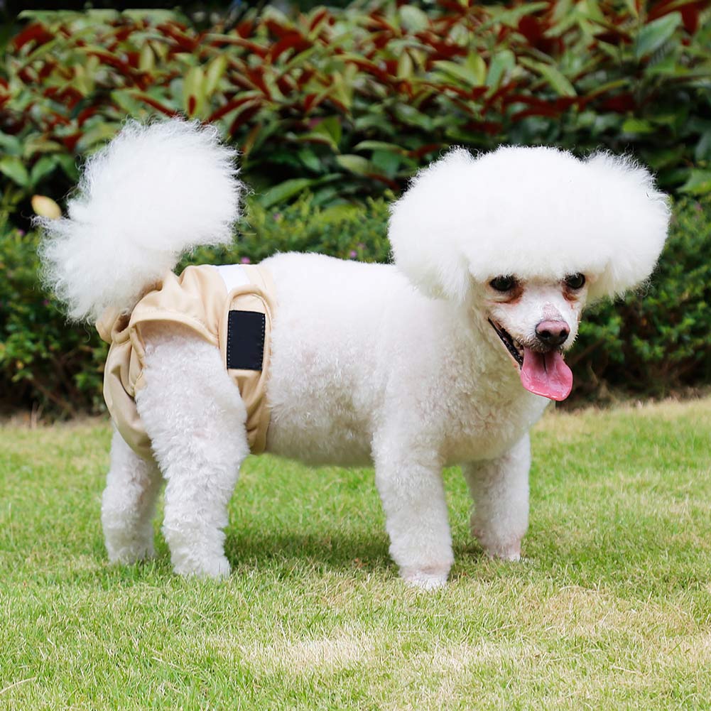 Simple Cute Puppy Dog Diaper Physiological Pants P... – Vicedeal