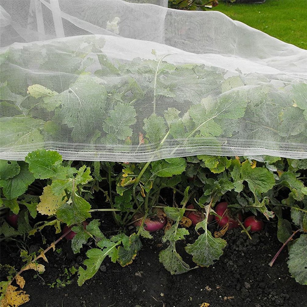 Insect-Proof Mesh Vegetable Orchard Gauze Nylon Ga... – Vicedeal