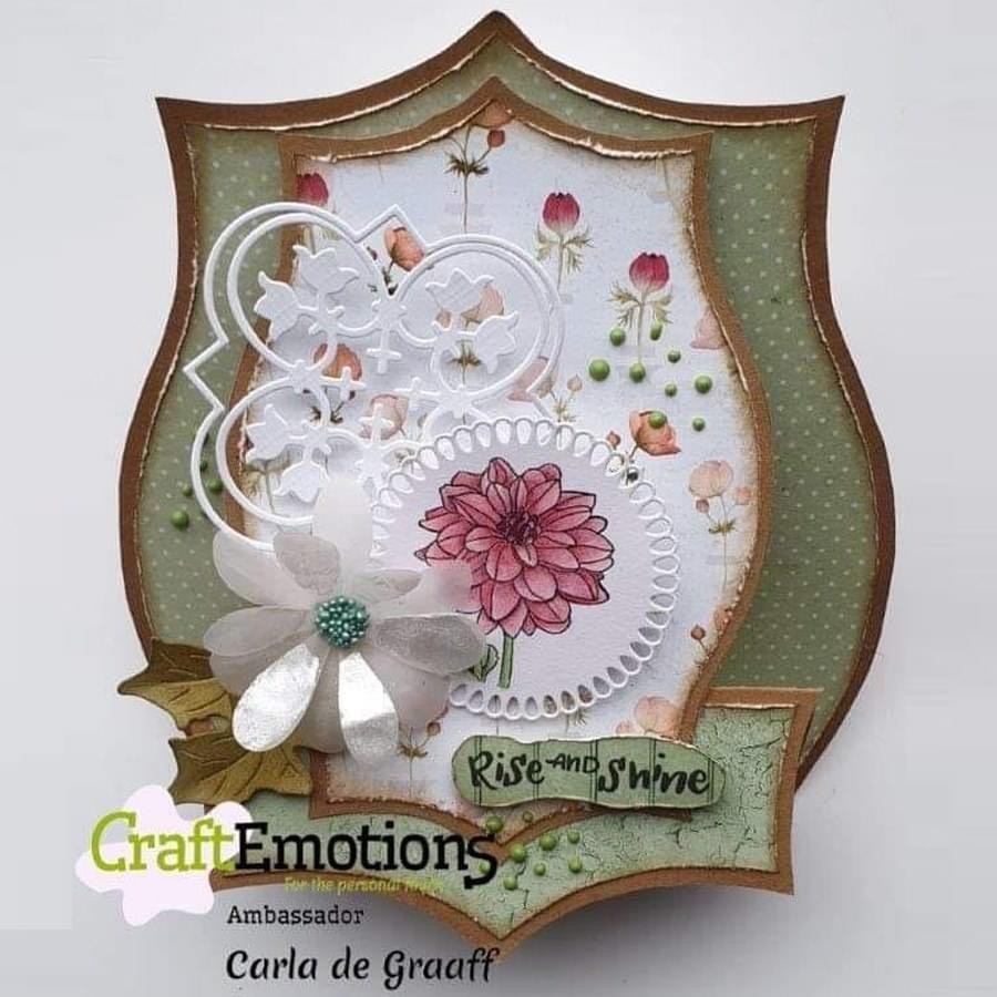 Metal Cutting dies Circle background frame Die Scr... – Grandado