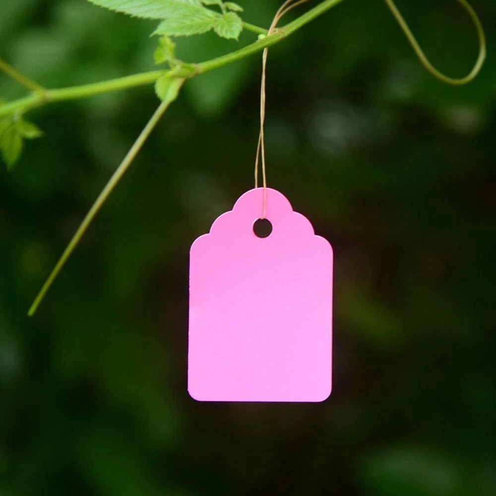 100 pcs Plant Hanging PVC Tags Tree Labels Waterpr... – Grandado
