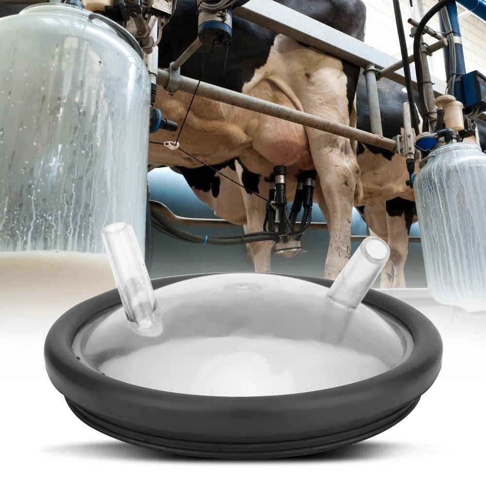 Plastic Transparent Milk Bucket Lid And Gasket For... – Grandado