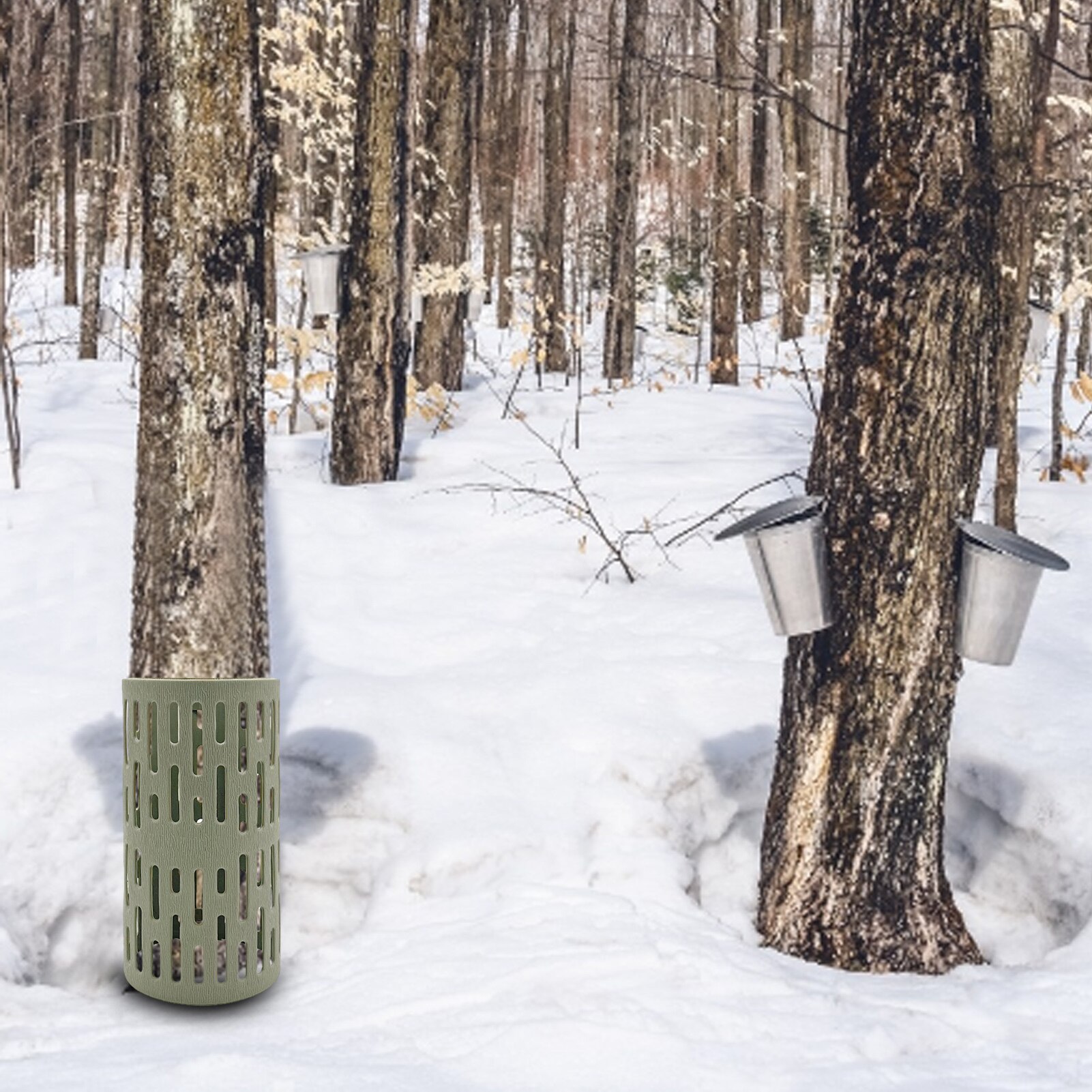 3PCS Plant Tree Trunk Protector Weather-proof Plas... – Grandado