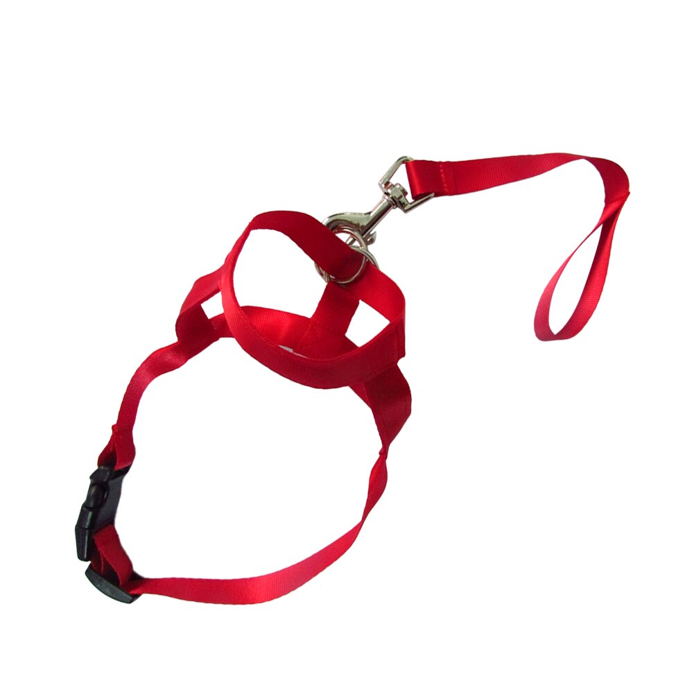 Dog Mouth Muzzle Adjustable Head Collar Walk Train... – Grandado