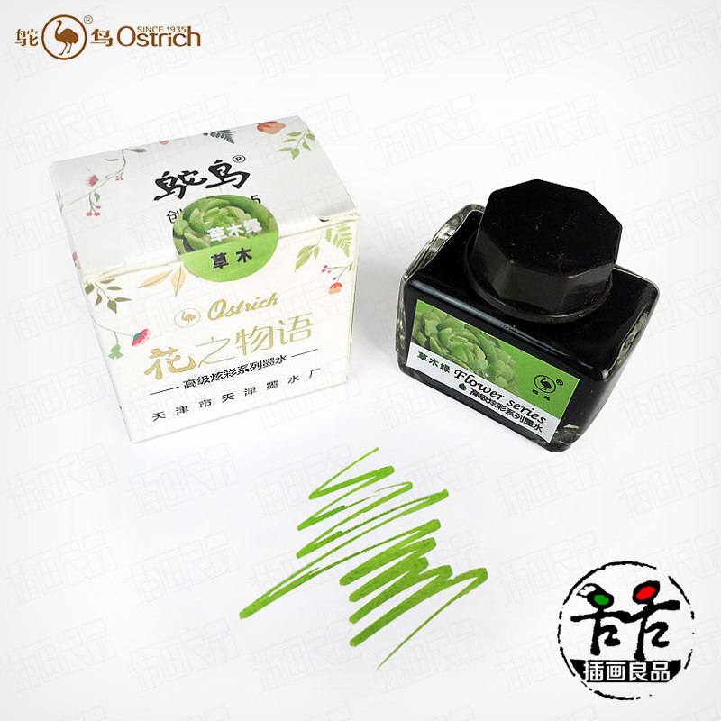 Ostrich flower language, color ink, watercolor pai... – Vicedeal