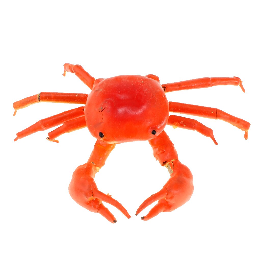 Highly Simulated Clay Insects Animals Model Toys f... – Grandado