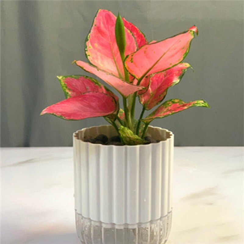 White ABS+PP Hydroponic Resin Flower Pots Loblolly... – Grandado