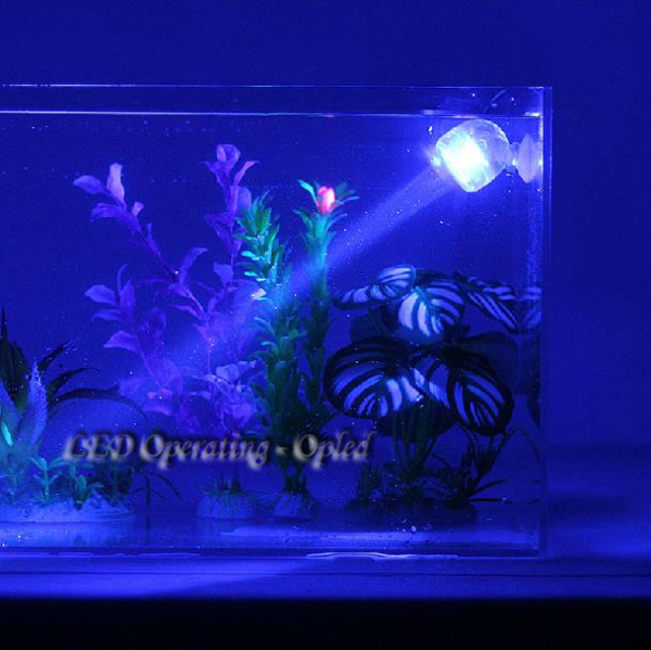 Outdoor Indoor Underwater led lamp, Waterproof led... – Grandado