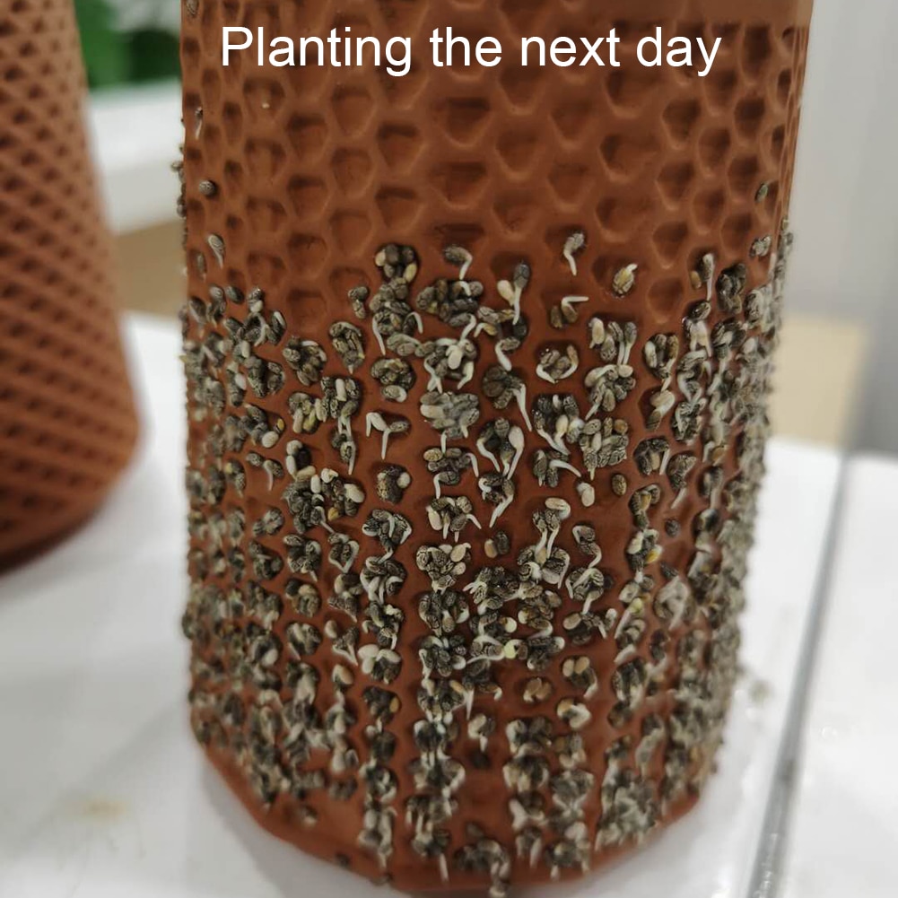 Small Mini Terracotta Flowerpot Slime Soil Ceramic... – Grandado