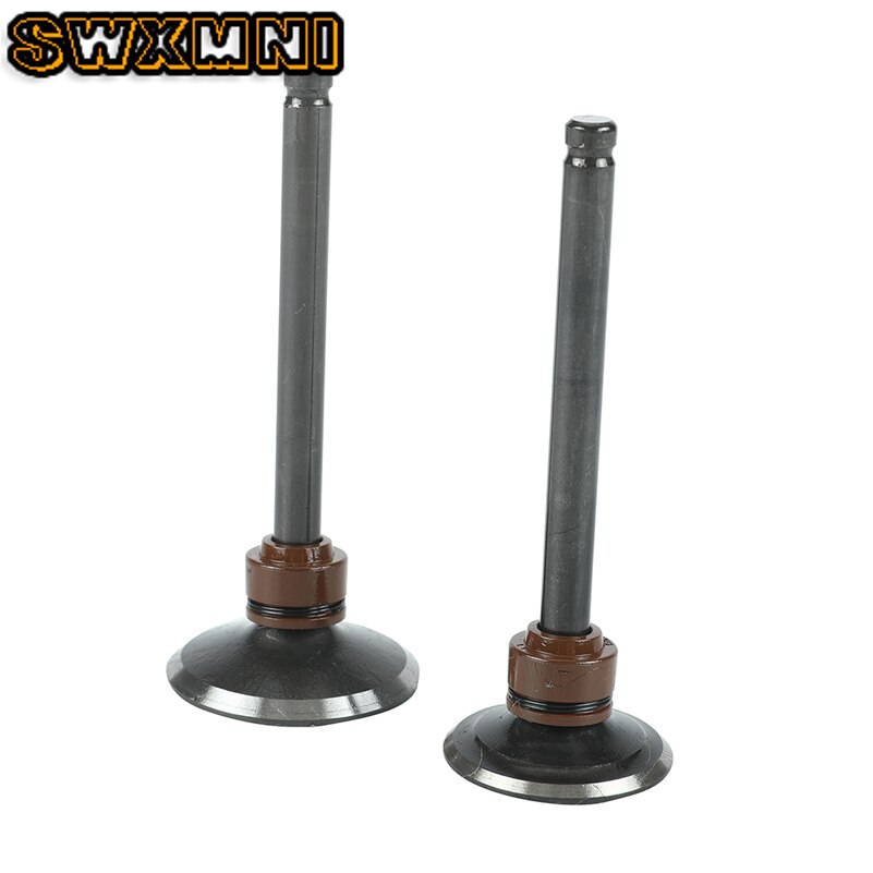 Lifan 125cc Motorcycle Intake exhaust valves with ... – Vicedeal