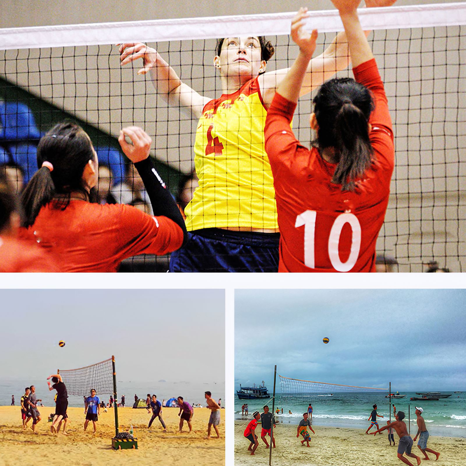 Portable Sport Training Standard Badminton Net Out... – Vicedeal